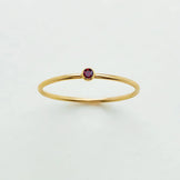 January Birthstone Cute Ring Under $50 – Hunny Life